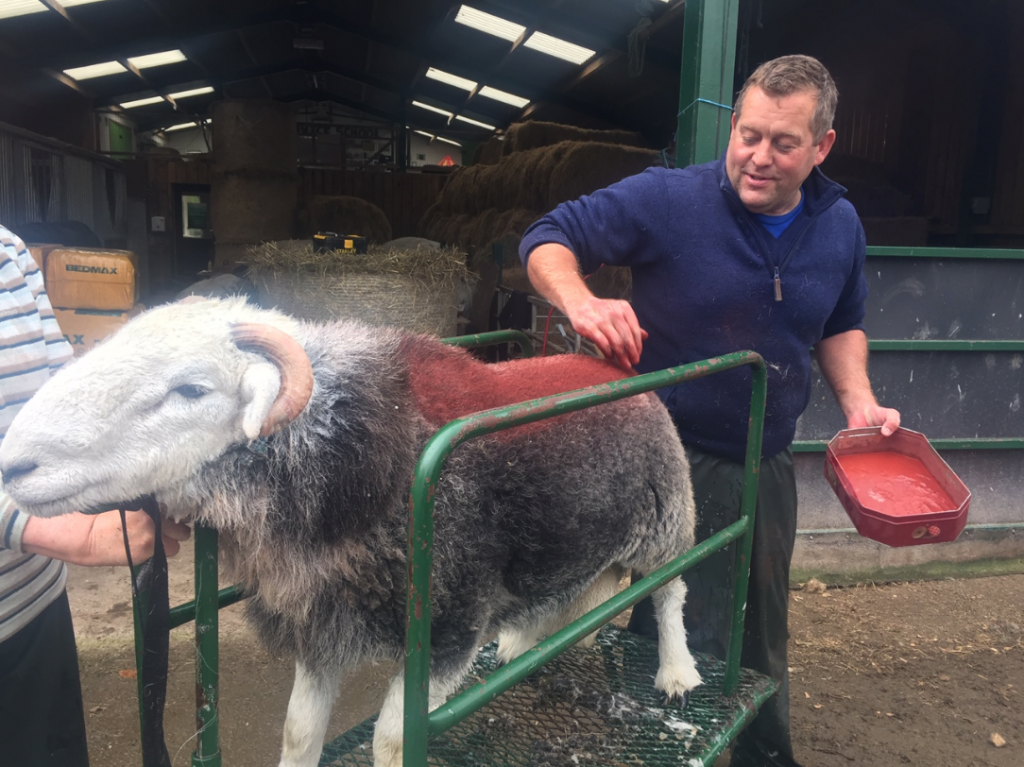 The Rebanks Shepherd's Bag - Dodgson Wood Produce
